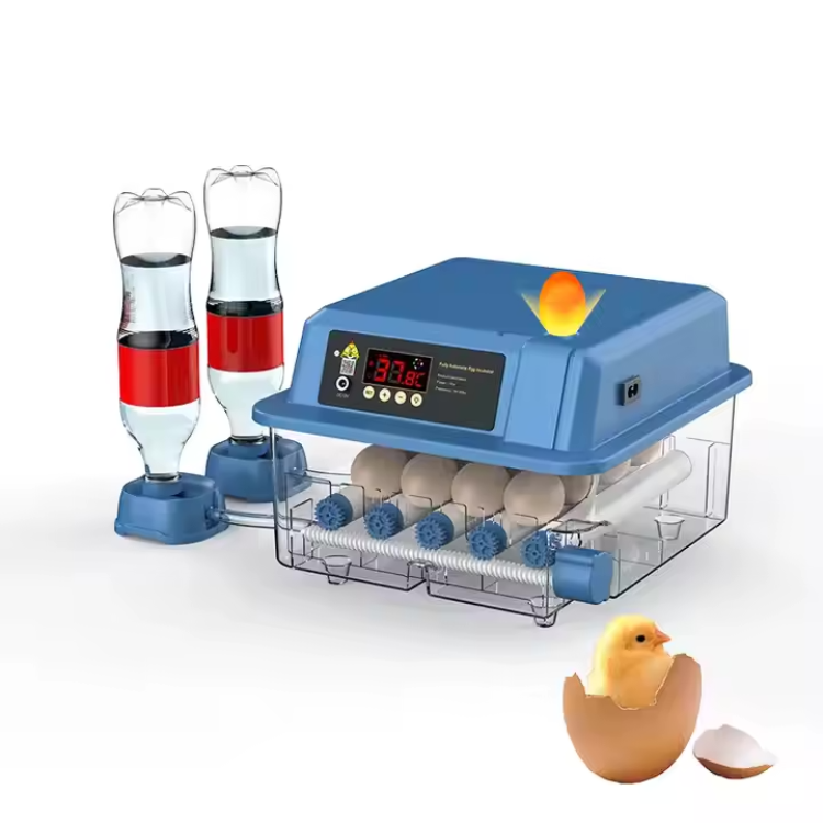 Automatyczna wylęgarnia cyfrowa AGF-15 z klujnikiem. Na 15 jaj kurzych ...